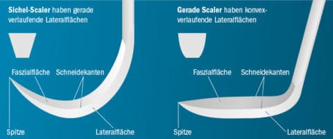 Scaler schärfen lassen | Rainer Geitz Handinstrumente